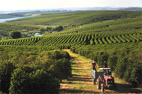 Our Story - The Cafe @ NETPark